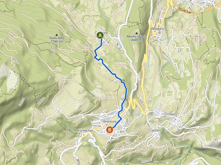 Sentiero dei castagneti di Castione | hike | Komoot